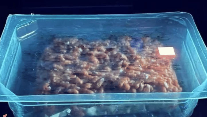 Revolutionary Solar Power Innovations Set to Boost Renewable Energy