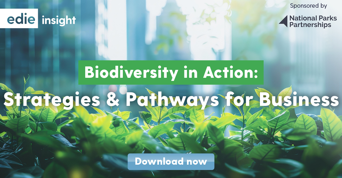 Biodiversity in Action: Strategies & Pathways for Business - edie