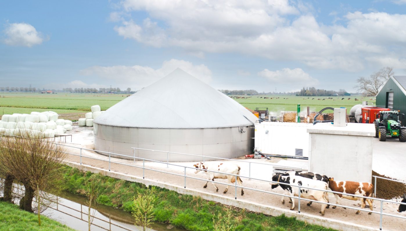 Ben & Jerry’s pilots regenerative agriculture scheme to cut dairy farm ...