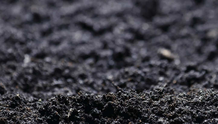 From direct air capture to biochar: 7 carbon removal technologies ...