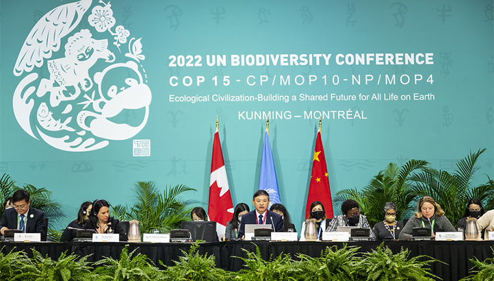 COP15: New global deal for nature agreed despite objections from ...
