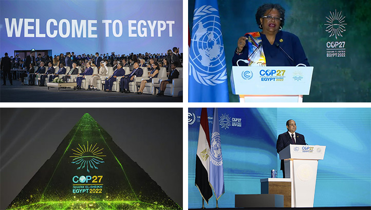 Forest finance commitments and heart-wrenching speeches: Seven things ...