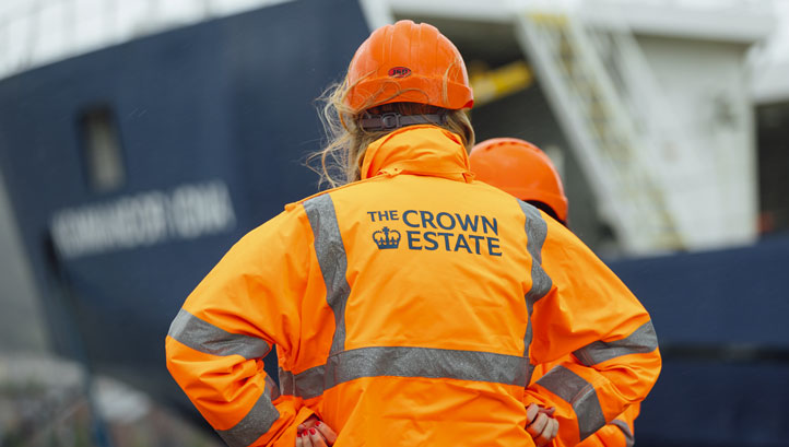 Crown Estate launches nature recovery goals - edie