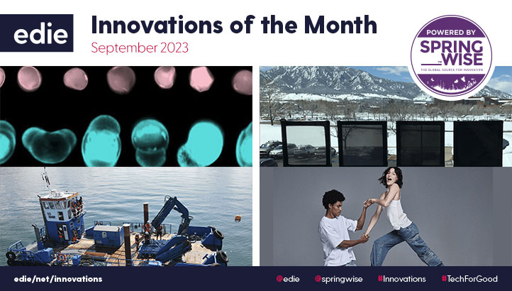 Green Innovations of September 2023: Restoring Seagrass, AI Insights ...