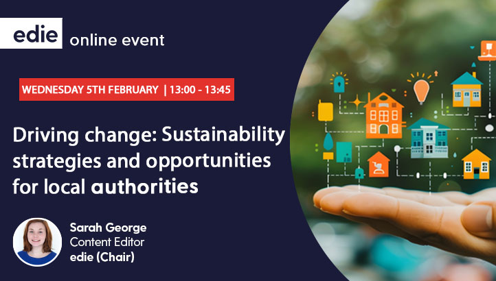 Driving change: Sustainability strategies and opportunities for local ...