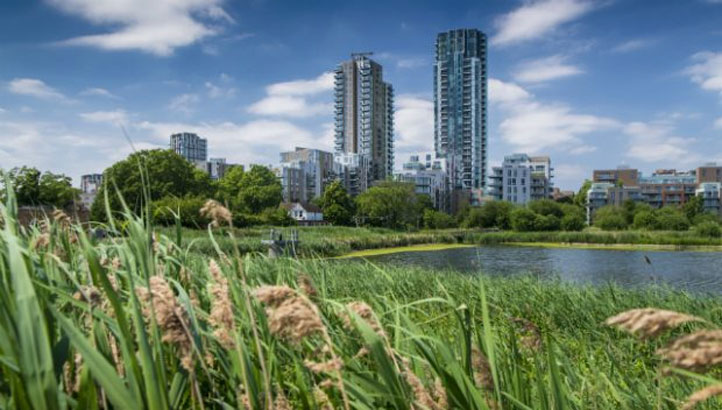 Nature Action 100: Urgent Calls for Protecting and Restoring Nature by ...