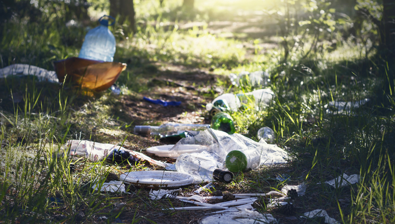 Assessing Corporate Plastic Disclosures: Analysis by CDP