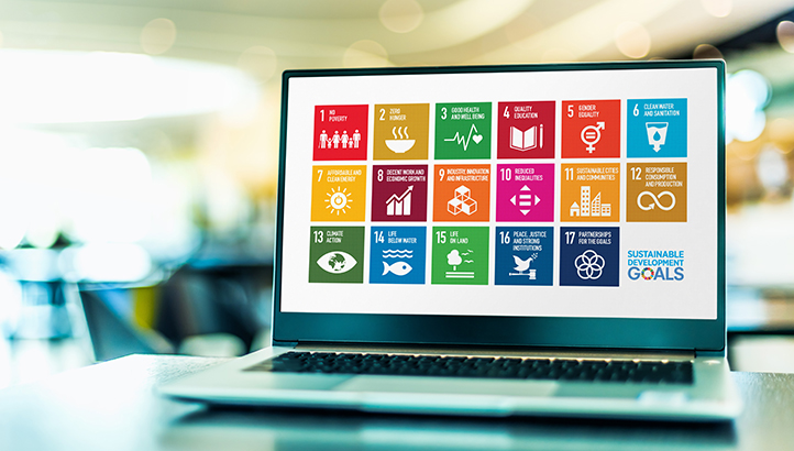 The Importance of UN Sustainable Development Goals (SDGs) for Businesses