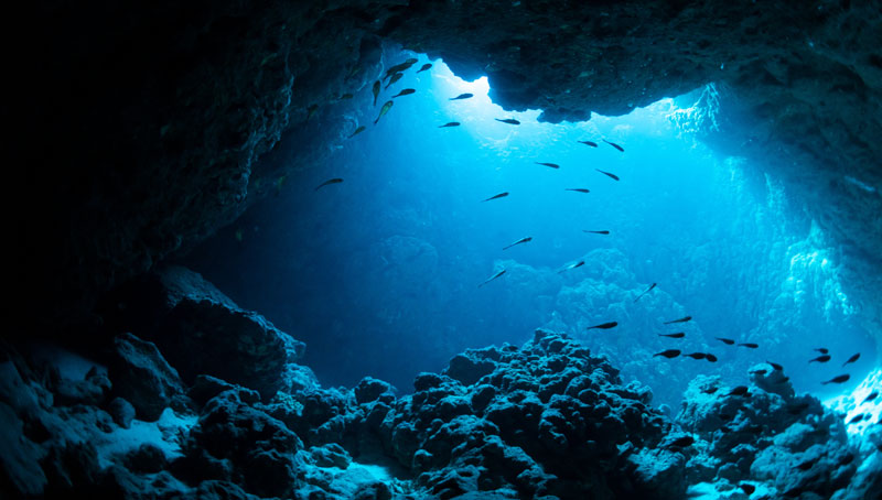 UK Banks and Corporations Pledge Not to Invest in Deep Sea Mining Over ...