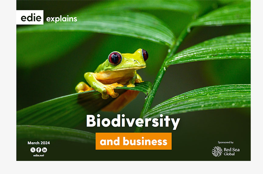 edie Explains: Biodiversity and Business - edie