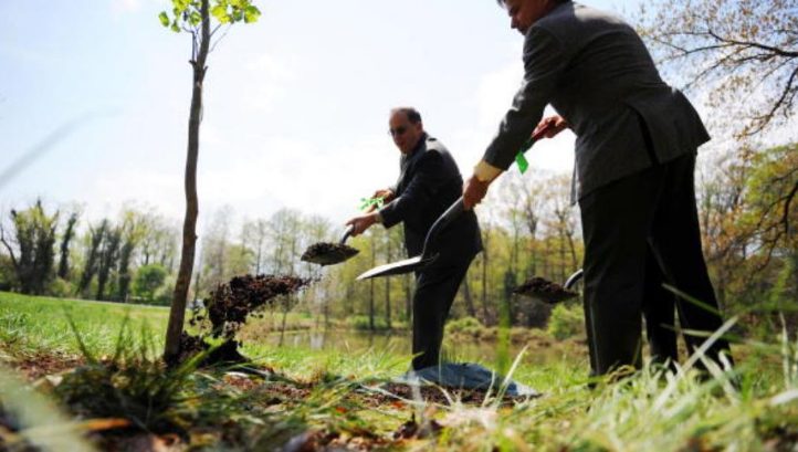 Bupa: Planting 2,000 climate-resilient trees in the UK - edie