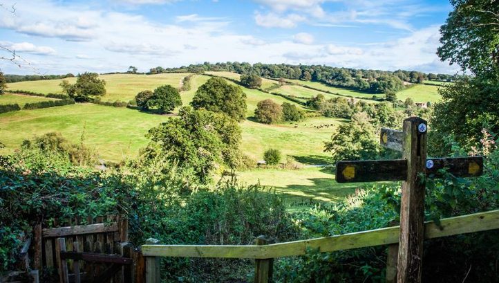 UK wildlife charities hatch plan to pressure Government on ...