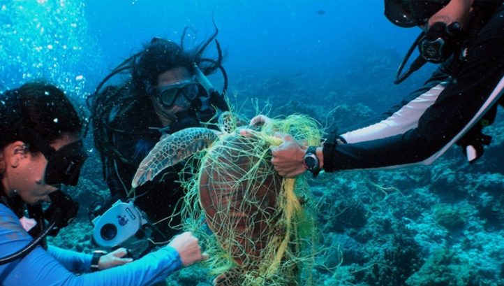 World's largest seafood firms pledge to tackle abandoned plastic ...
