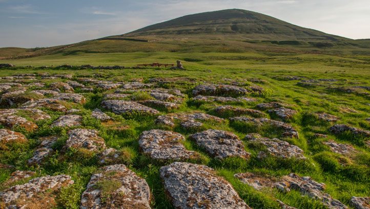 Major nature restoration scheme for Yorkshire as Defra outlines new ...