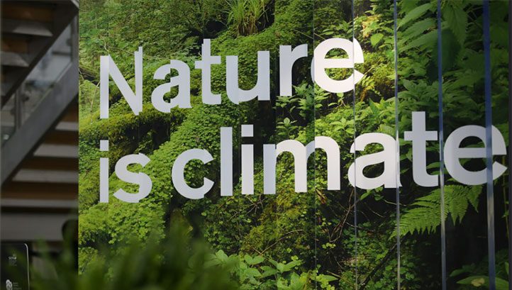 8 things you need to know from Nature Day at COP26 - edie