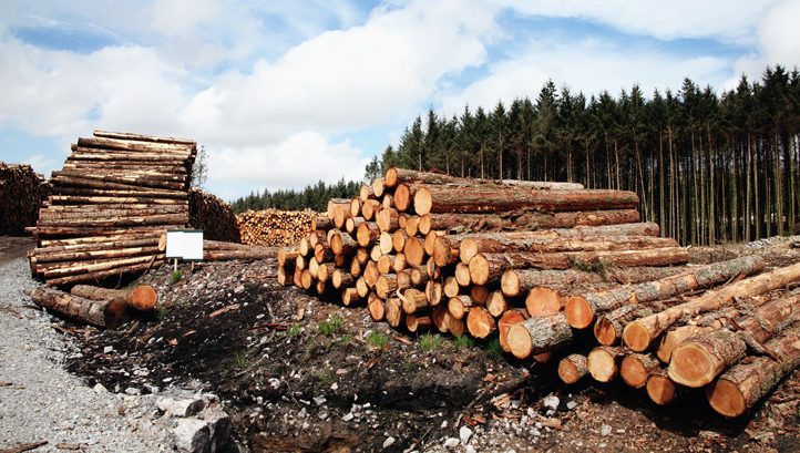 What the new EU-Indonesia timber agreement means for our forests, our ...