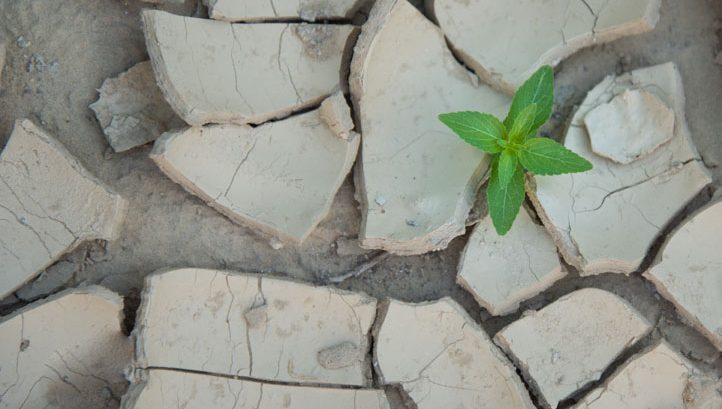 The science is clear: Both climate adaptation and mitigation are needed ...