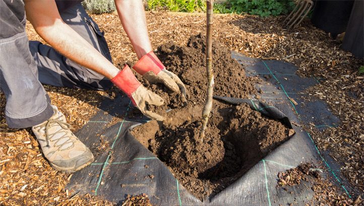 Carbon offsetting: How are businesses avoiding greenwashing on the road ...