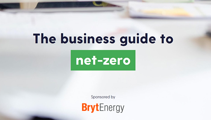 Business Guide to Net-Zero: Steps, Challenges and Opportunities ...