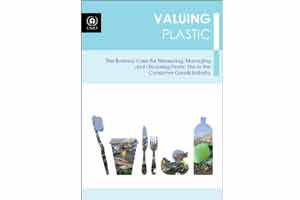 Valuing plastic: the business case for measuring, managing and ...