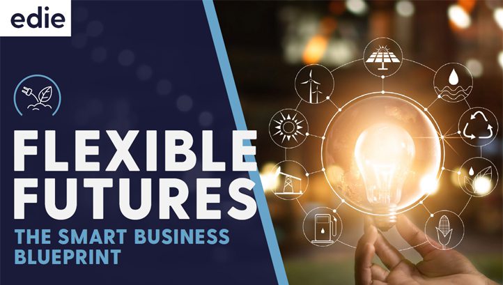 Flexible Futures: The Smart Business Blueprint - edie