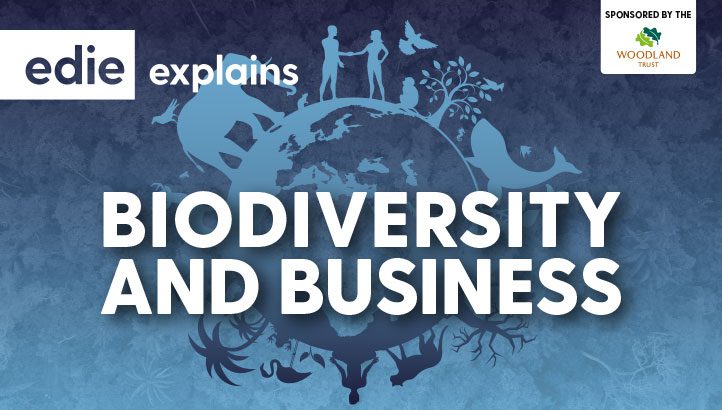 edie Explains: Biodiversity and Business - edie