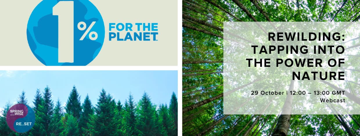 5 things to know about rewilding's role in green business development ...