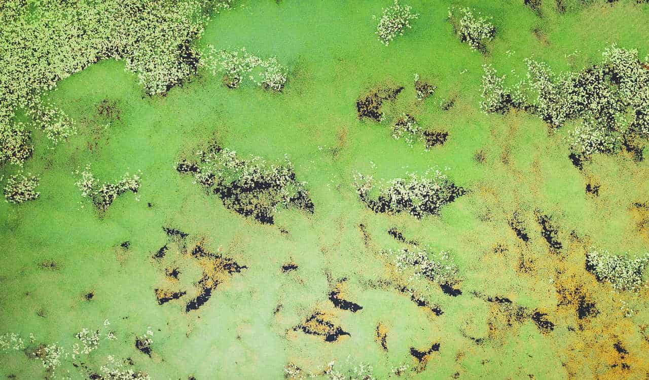 A biodegradable textile grown from live organisms - Springwise