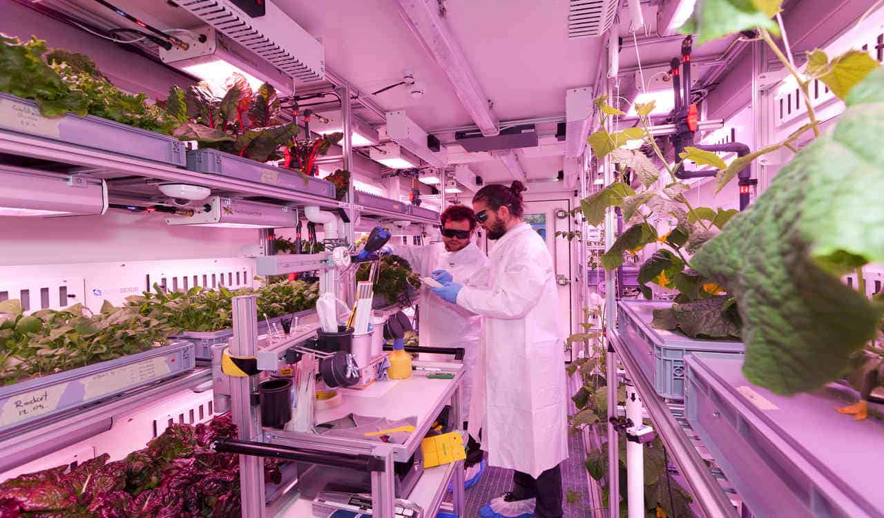 Indoor farm grows produce in outer space - Springwise
