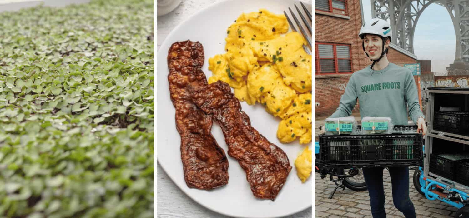 Five sustainable food innovations that whetted our appetite in 2022 ...