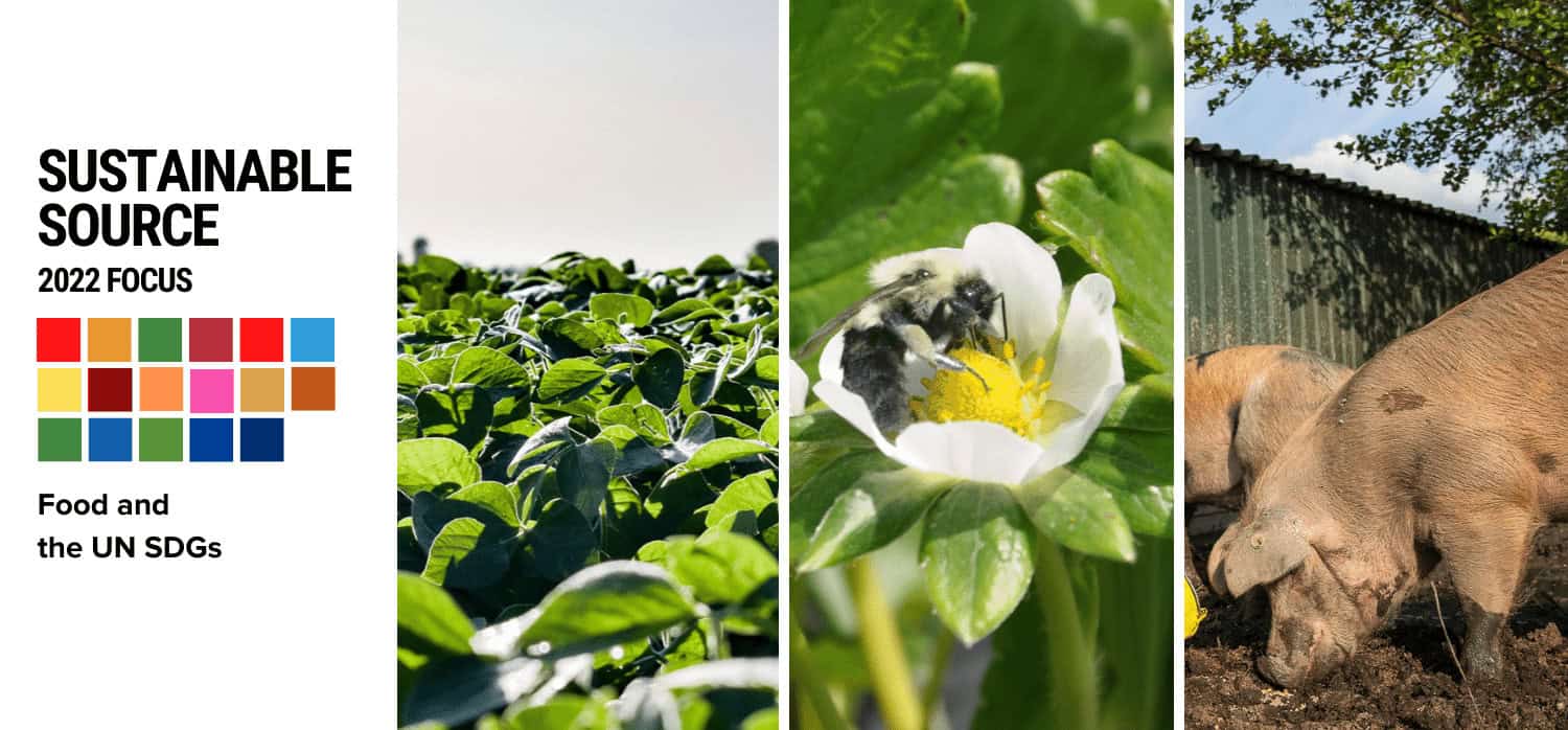 Food and the UN SDGs - Springwise