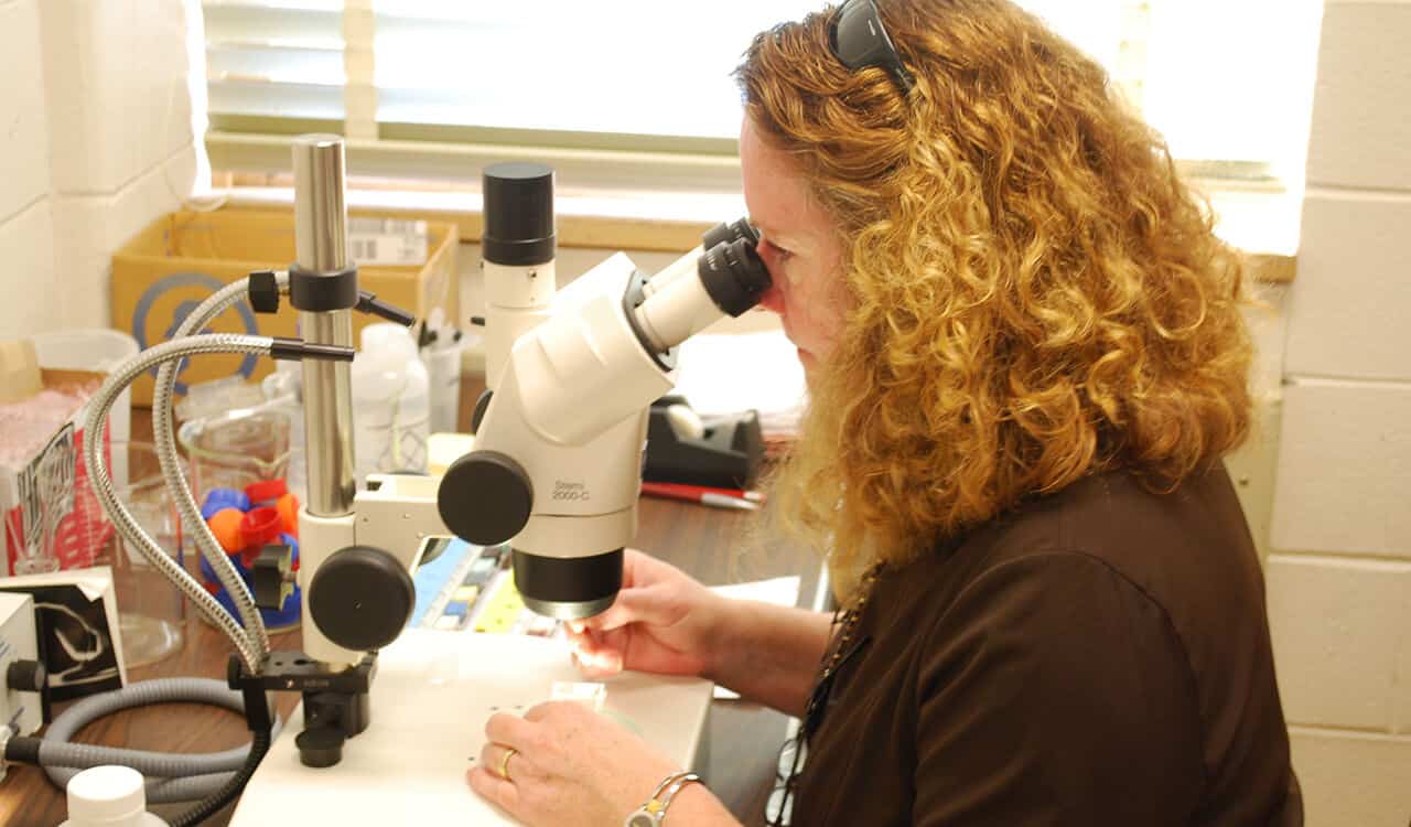 International collaborative research network for scientists - Springwise