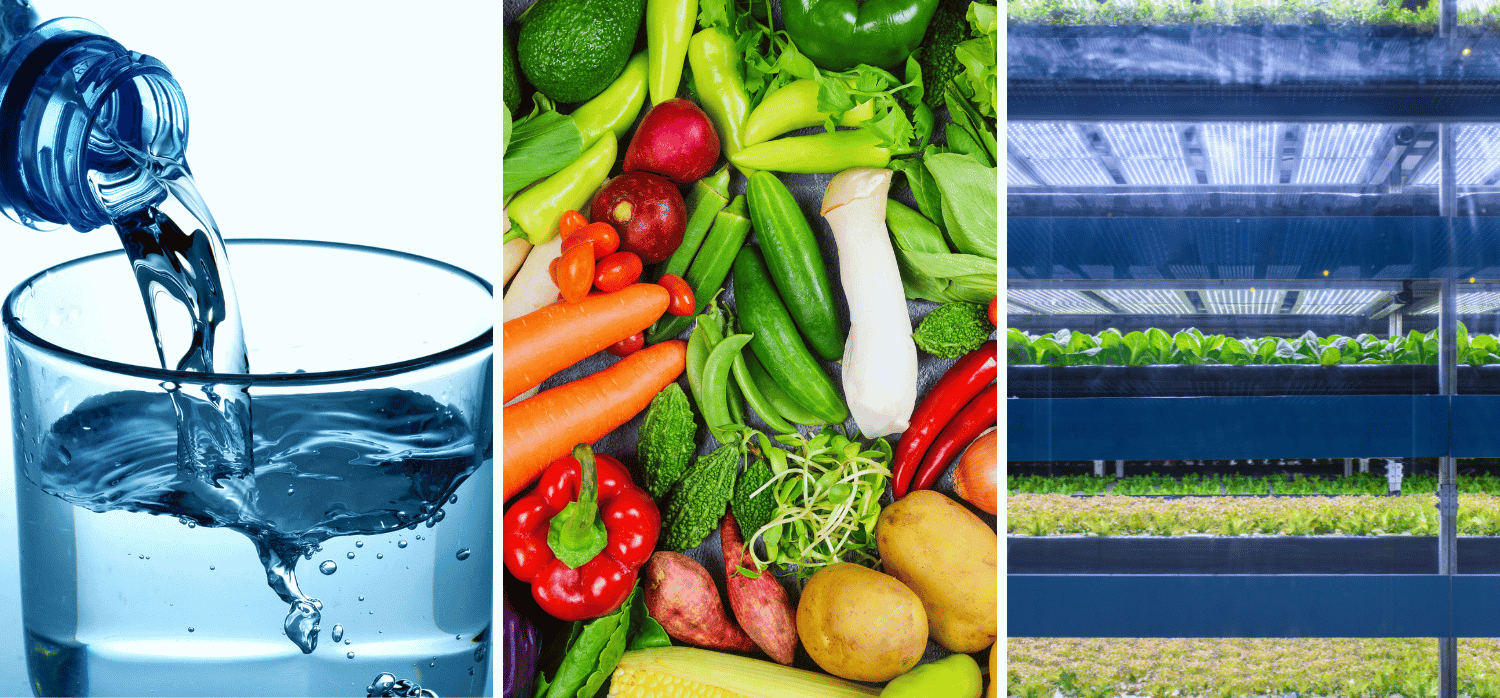 Three European food startups innovating for a fairer food system ...