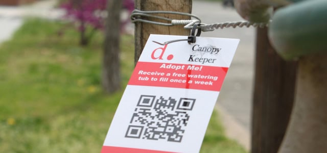 QR codes used to encourage citizens to adopt neighborhood trees ...