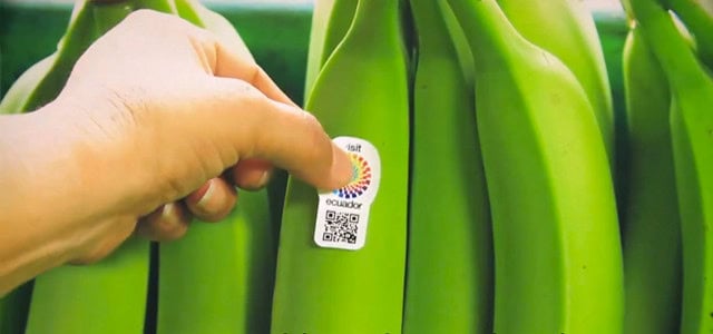 Banana QR codes encourage tourism in Ecuador - Springwise