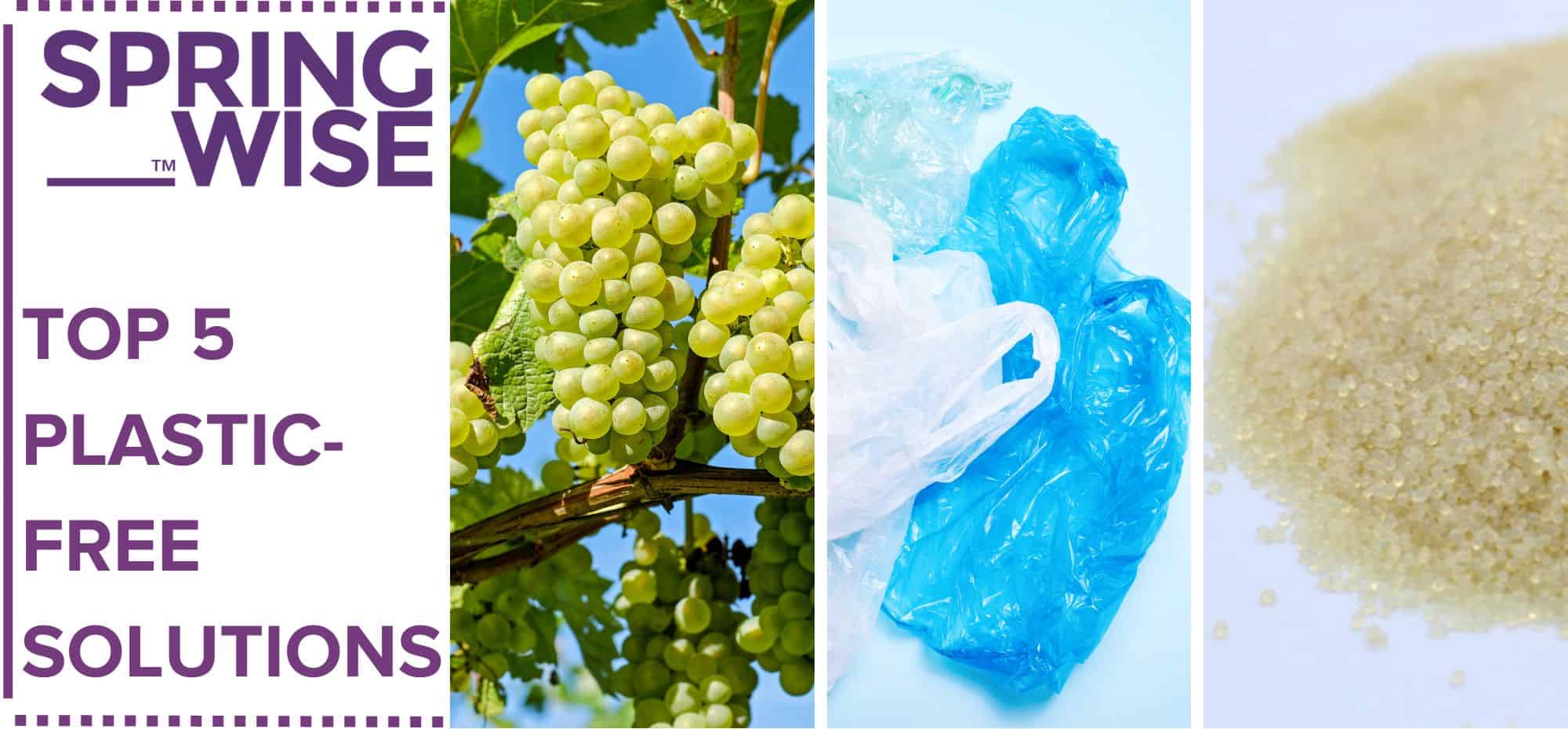 The Springwise Top 5: Plastic-Free Solutions - Springwise