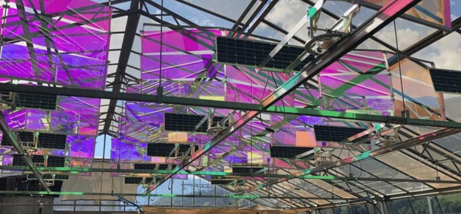 Greenhouses that produce their own energy - Springwise