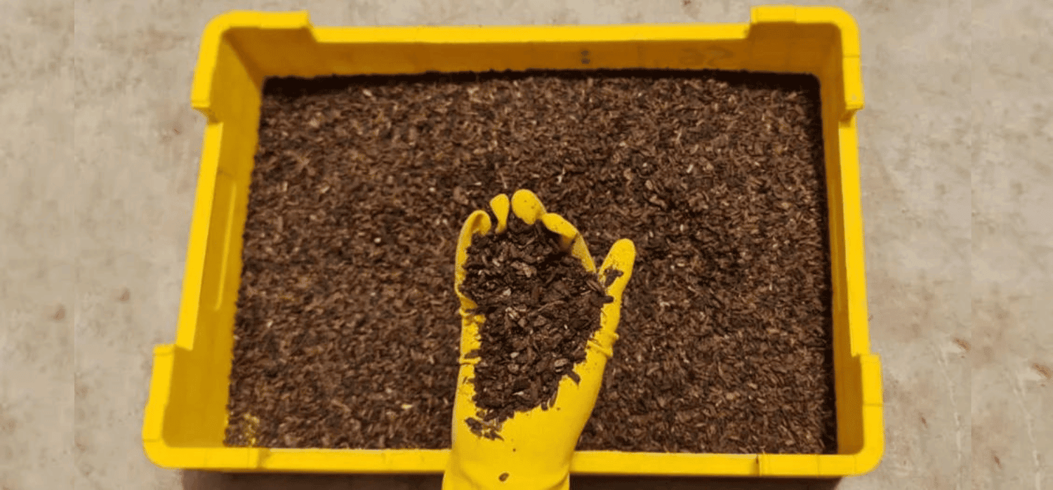 Modular insect farms for small-scale food producers - Springwise