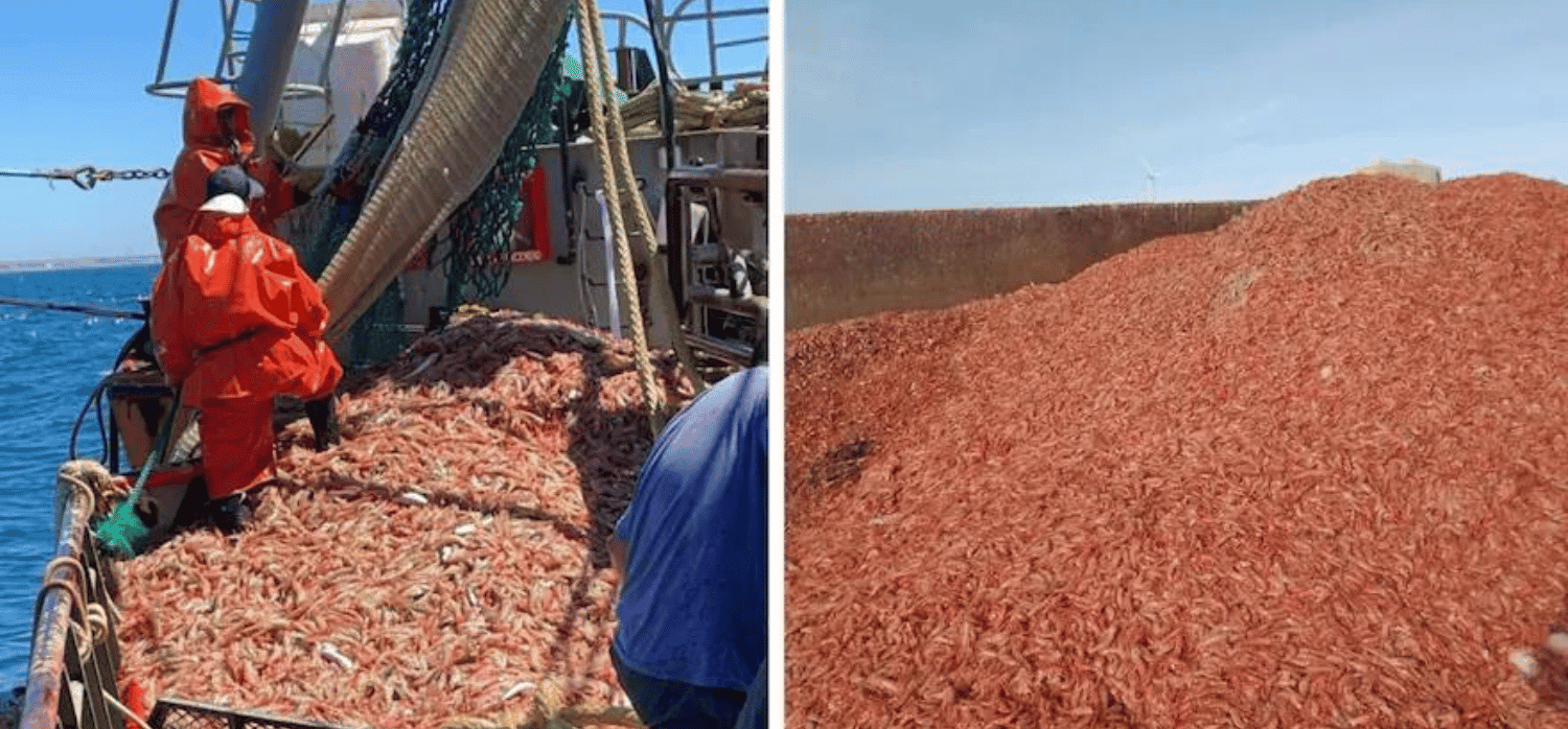 How can fishing waste enable eco-friendlier farming? - Springwise