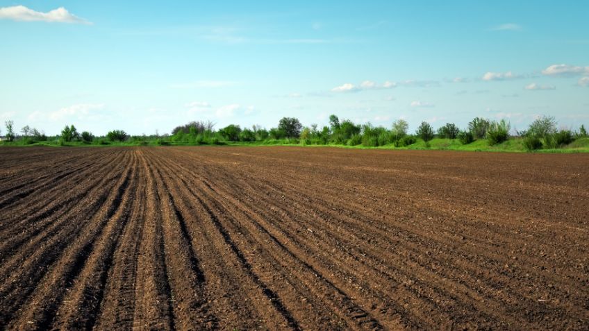 Using sound to monitor soil - Springwise