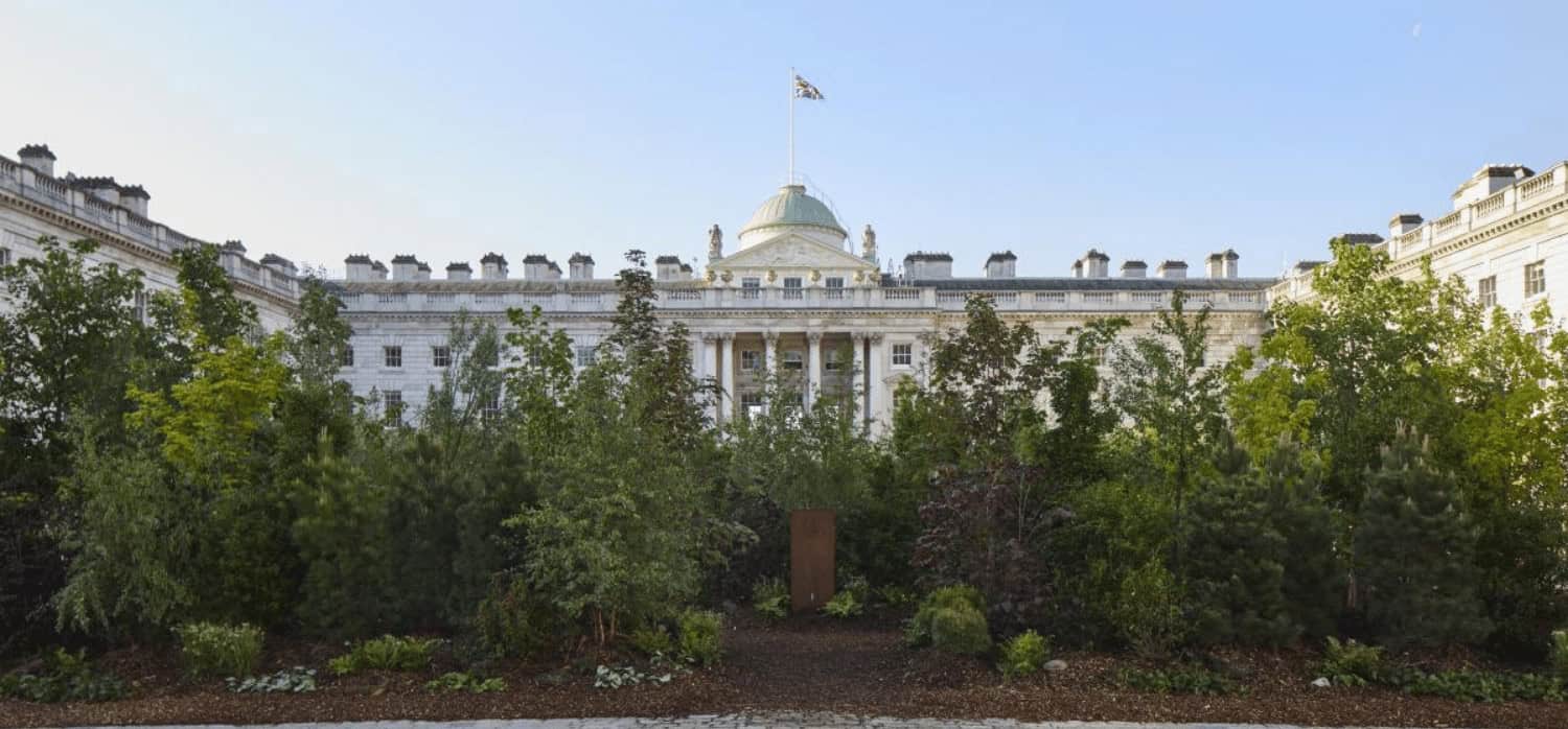 British designer creates tree exhibition for COP26 - Springwise