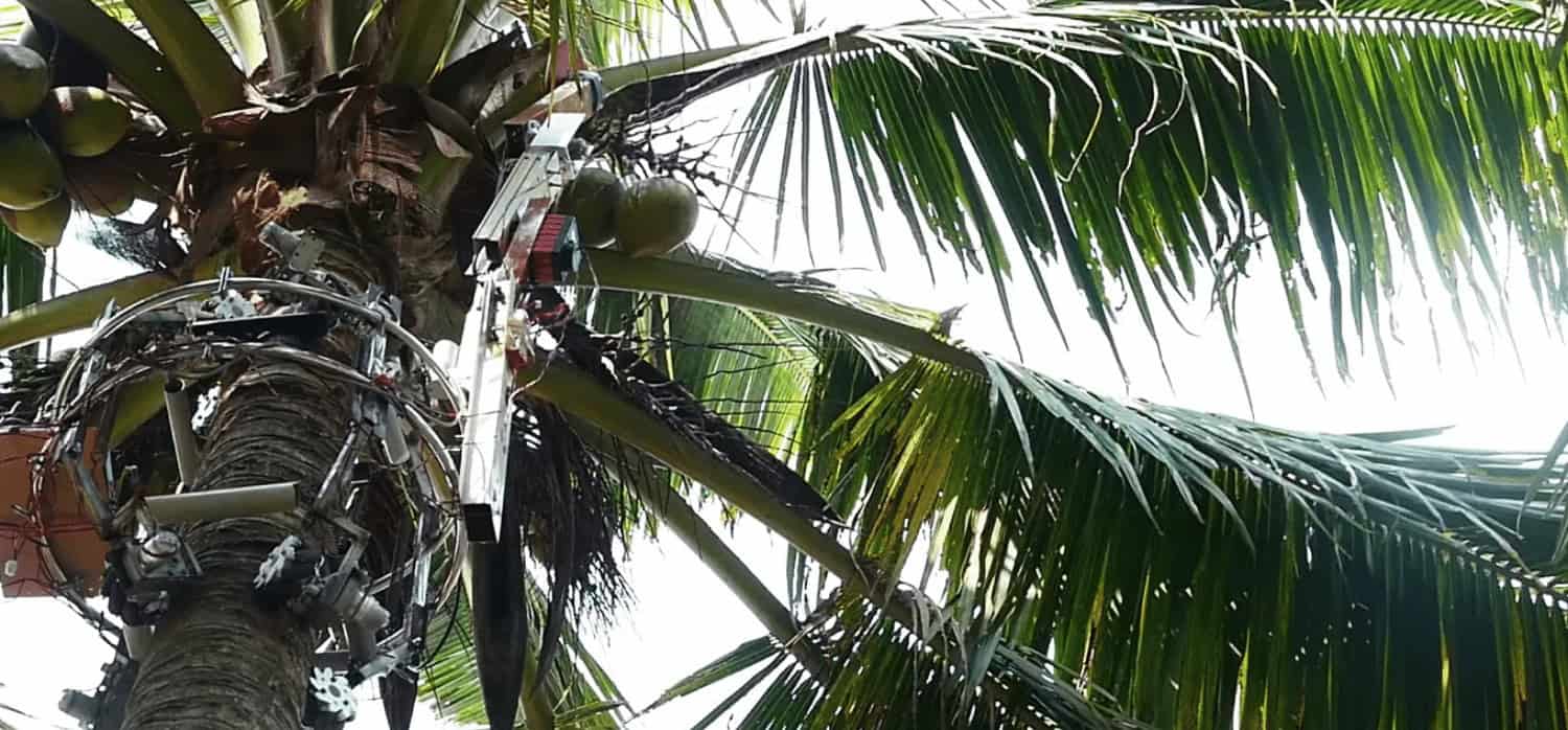 A tree-climbing robot that helps harvest coconuts - Springwise