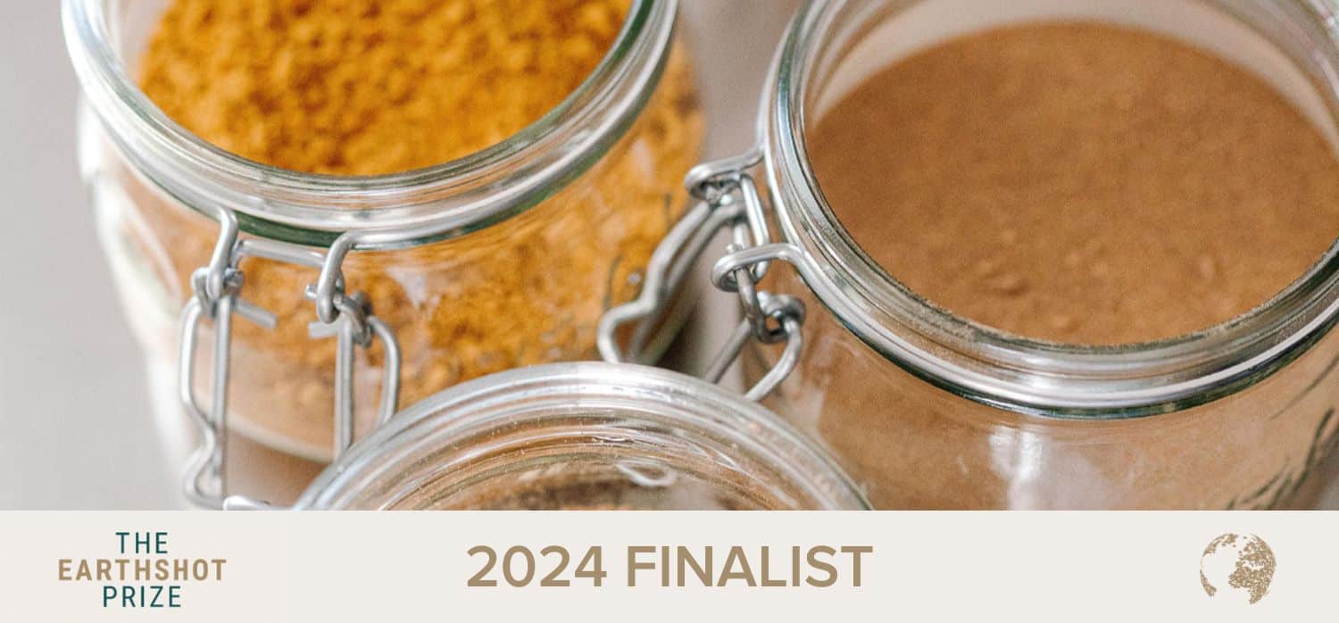 Fighting food waste with fermentation - Springwise