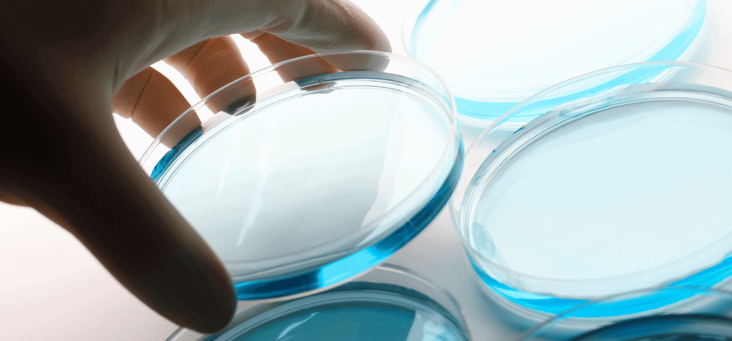 Microbial protein for people with modified diets - Springwise