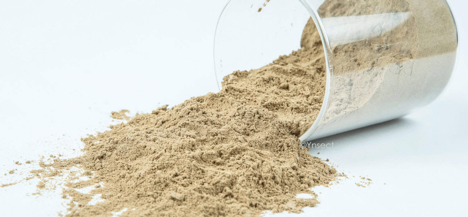 Vertical farms produce insect protein for animals and plants - Springwise