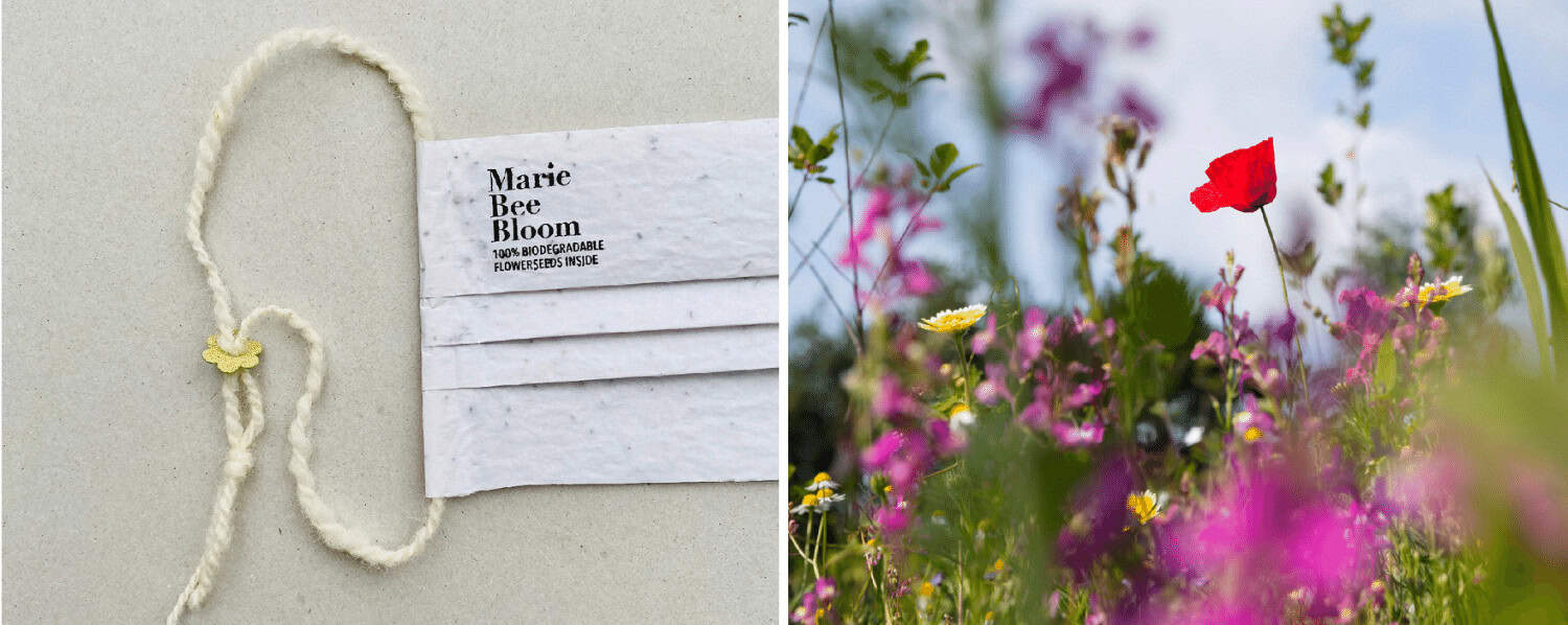 Biodegradable mask grows into flowers - Springwise