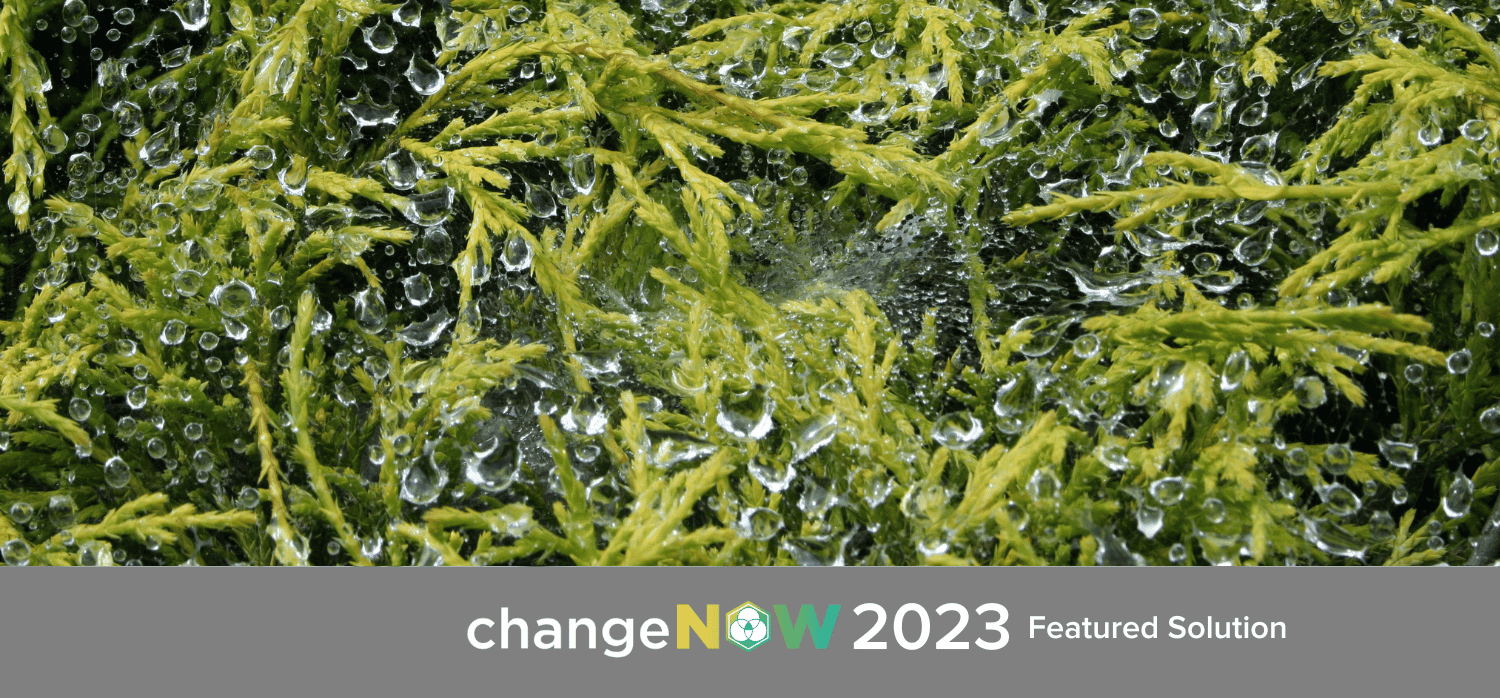 An algae-based material for use in personal care products and solar ...