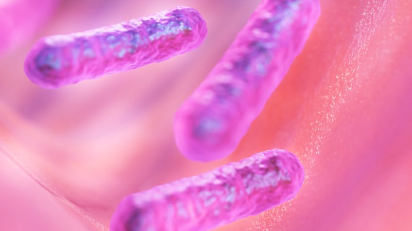 'Superman' coatings for resilient industrial bacteria - Springwise