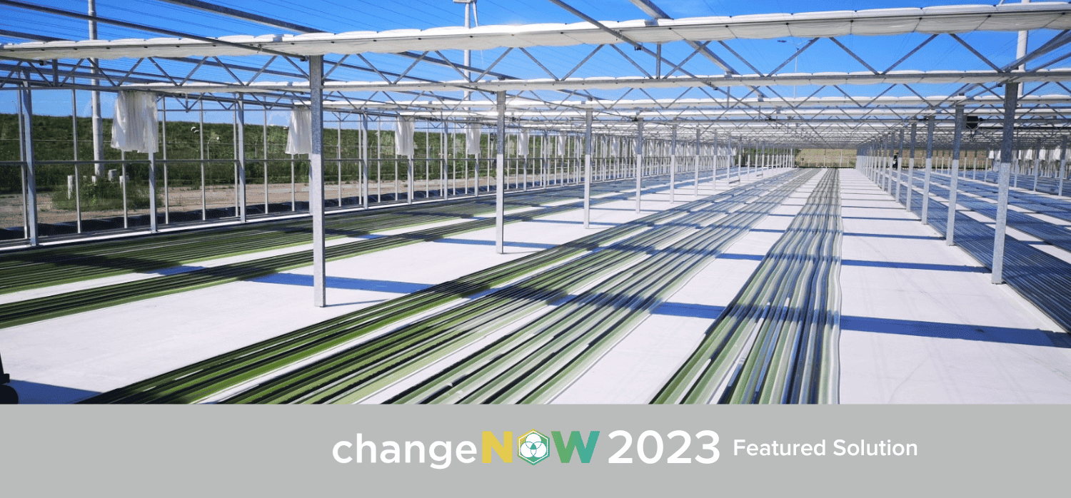 Sunlight turns CO2 directly into sustainable chemicals - Springwise