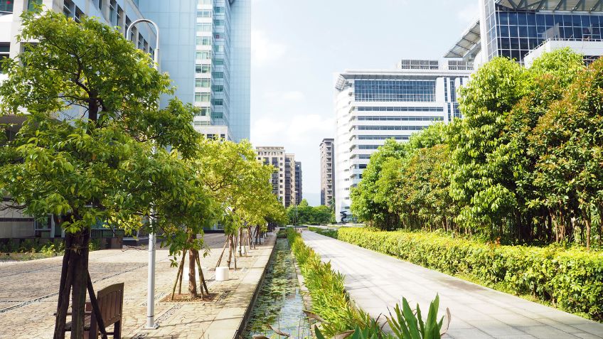 Machine learning monitors urban greening - Springwise